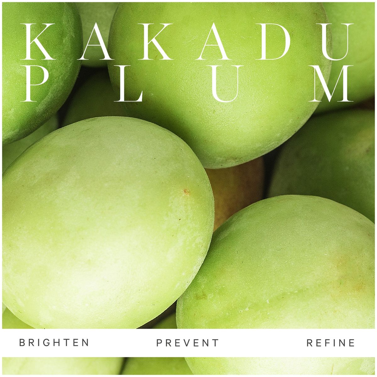 Kakadu Plum – Palessi Care